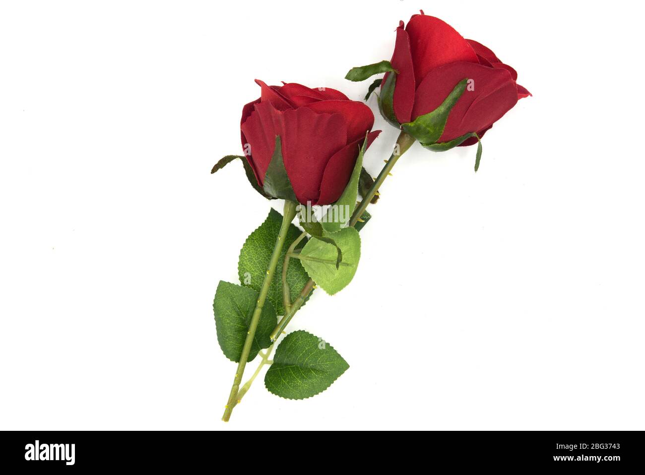 red roses clothes on white background Stock Photo - Alamy