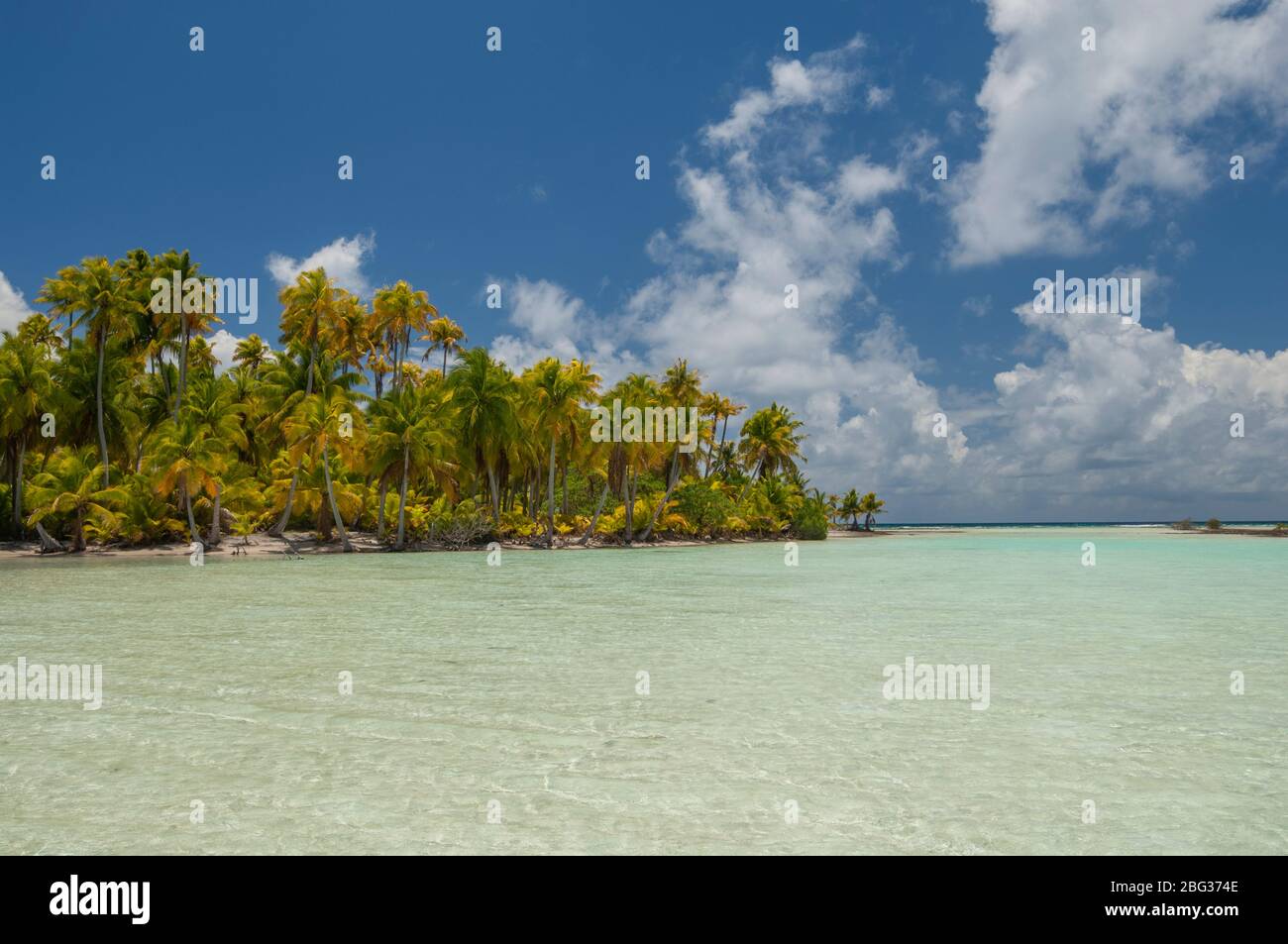 Blue Lagoon, Rangiroa, Tuamotu Archipelago, French Polynesia Stock ...