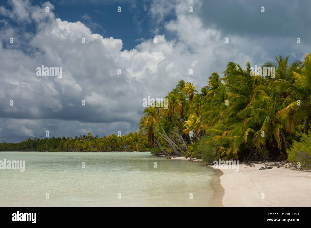 Blue Lagoon, Rangiroa, Tuamotu Archipelago, French Polynesia Stock ...