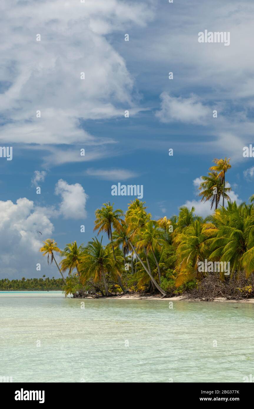 Blue Lagoon, Rangiroa, Tuamotu Archipelago, French Polynesia Stock ...