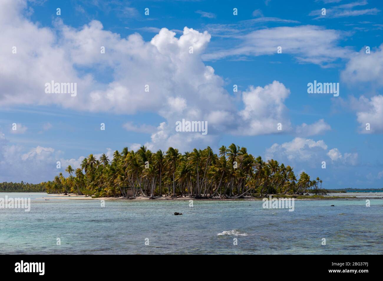 Blue Lagoon, Rangiroa, Tuamotu Archipelago, French Polynesia Stock ...