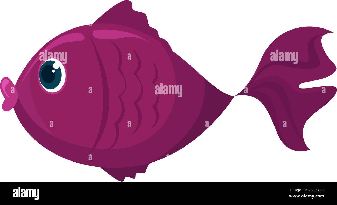 Purple fish, illustration, vector on white background Stock Vector ...