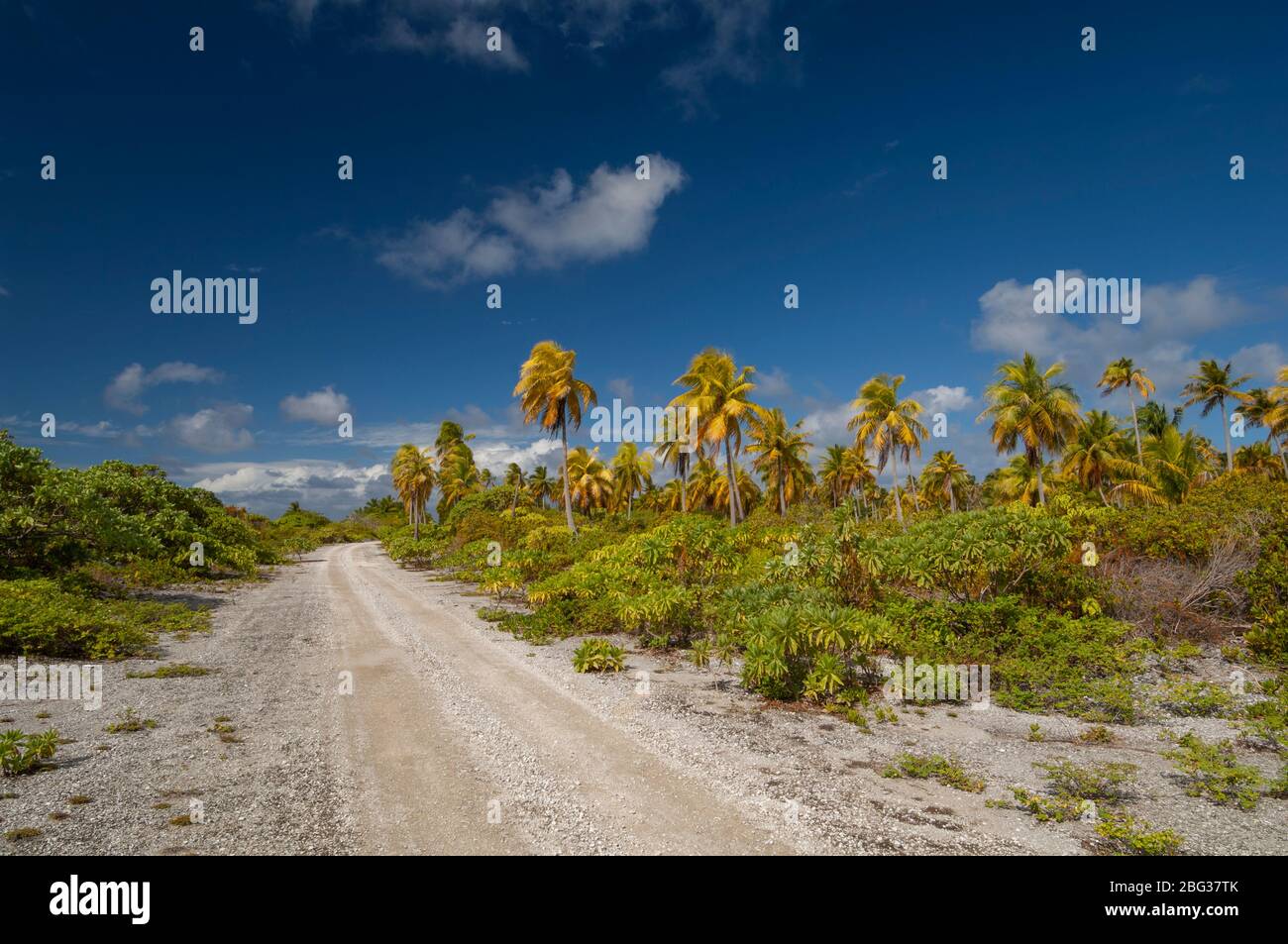 Fakarawa, Tuamotu Archipelago, French Polynesia Stock Photo - Alamy