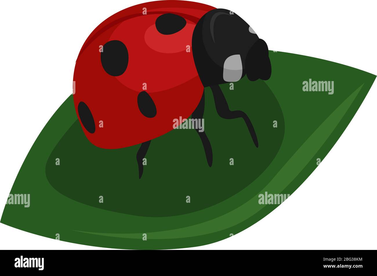 Ladybug on leaf, illustration, vector on white background Stock Vector ...