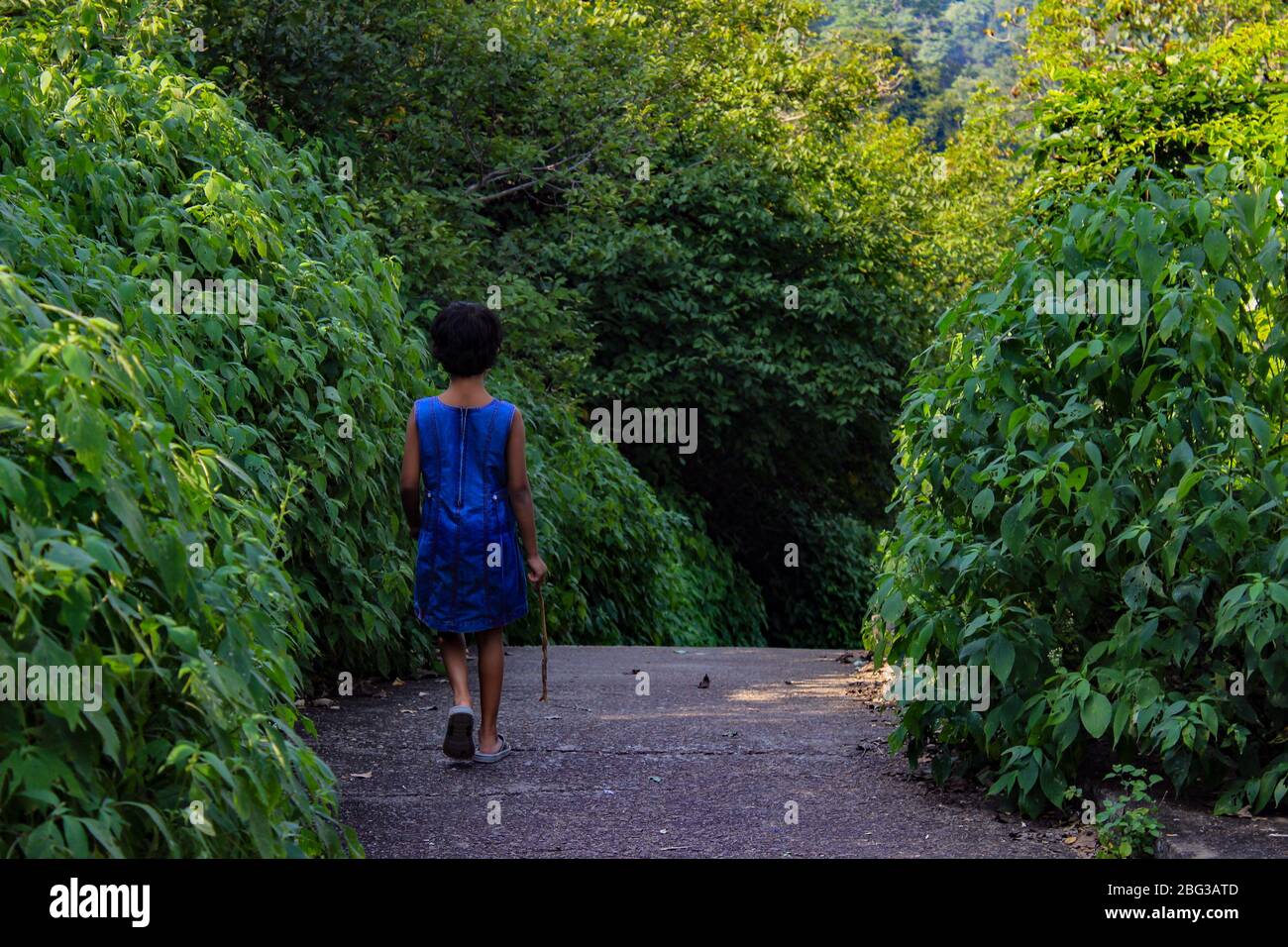 A small girl walking in a park with green background Stock Photo - Alamy