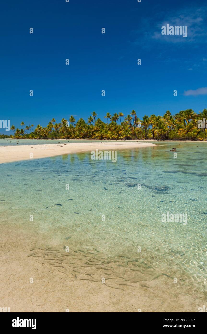 Fakarawa, Tuamotu Archipelago, French Polynesia Stock Photo - Alamy