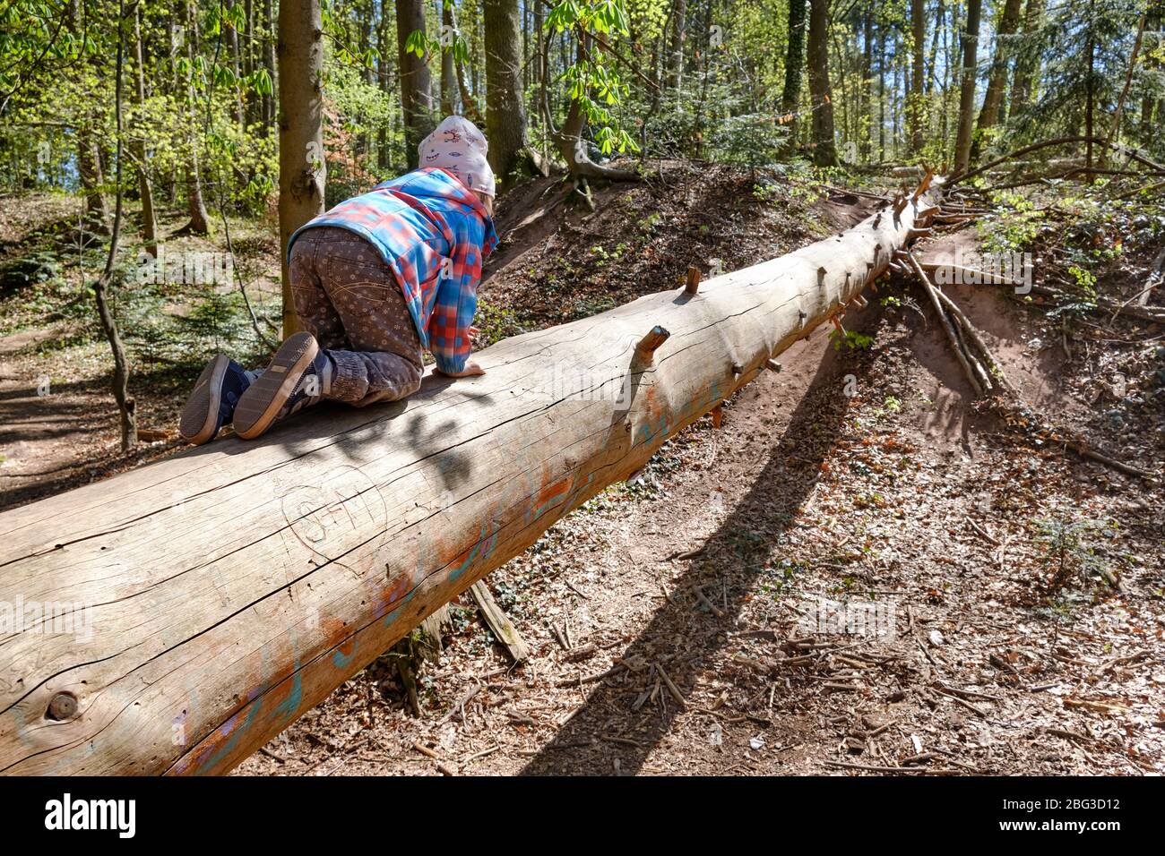 Rear view of 4 year old caucasian child girl crawling over the tree ...