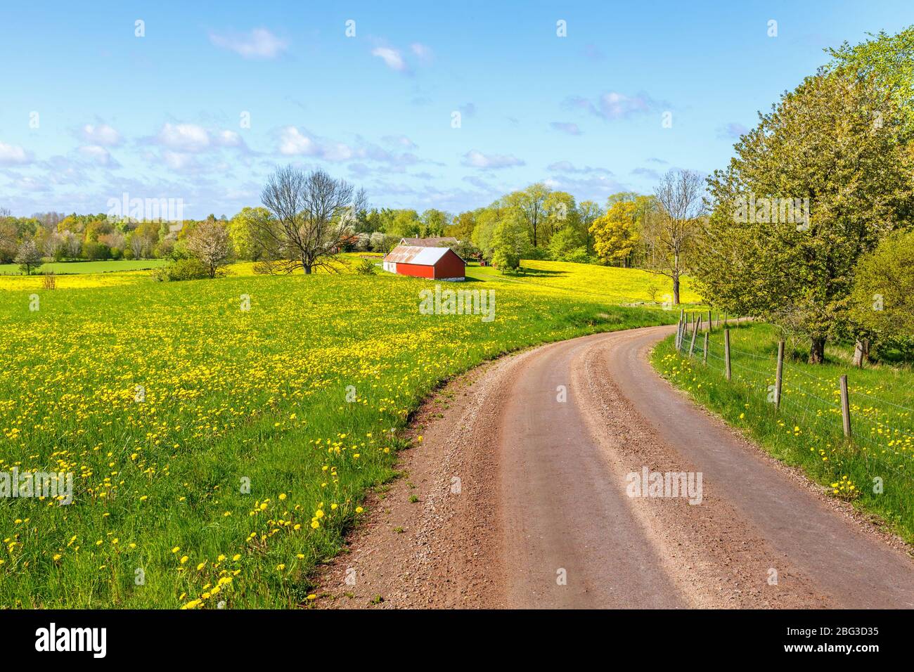 Gravel road through rural hi-res stock photography and images - Alamy