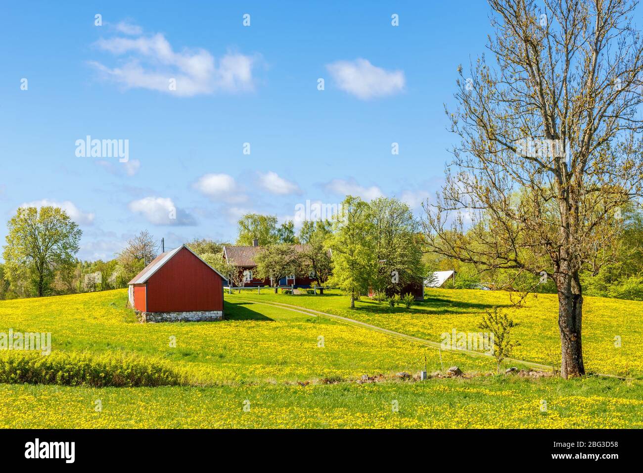 Farmhouse in rural landscape in spring Stock Photo - Alamy