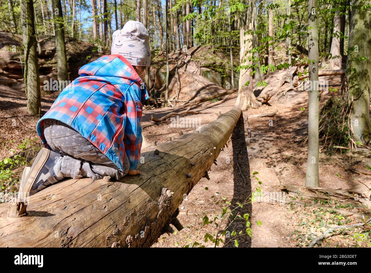 Rear view of 4 year old caucasian child girl crawling over the tree ...