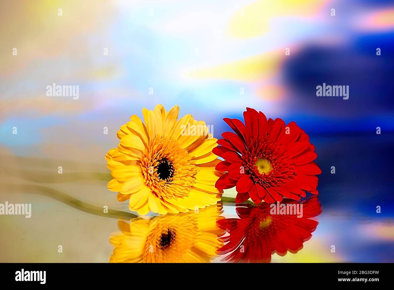 Beautiful flowers shot in vivid color with bright amazing colors for ...