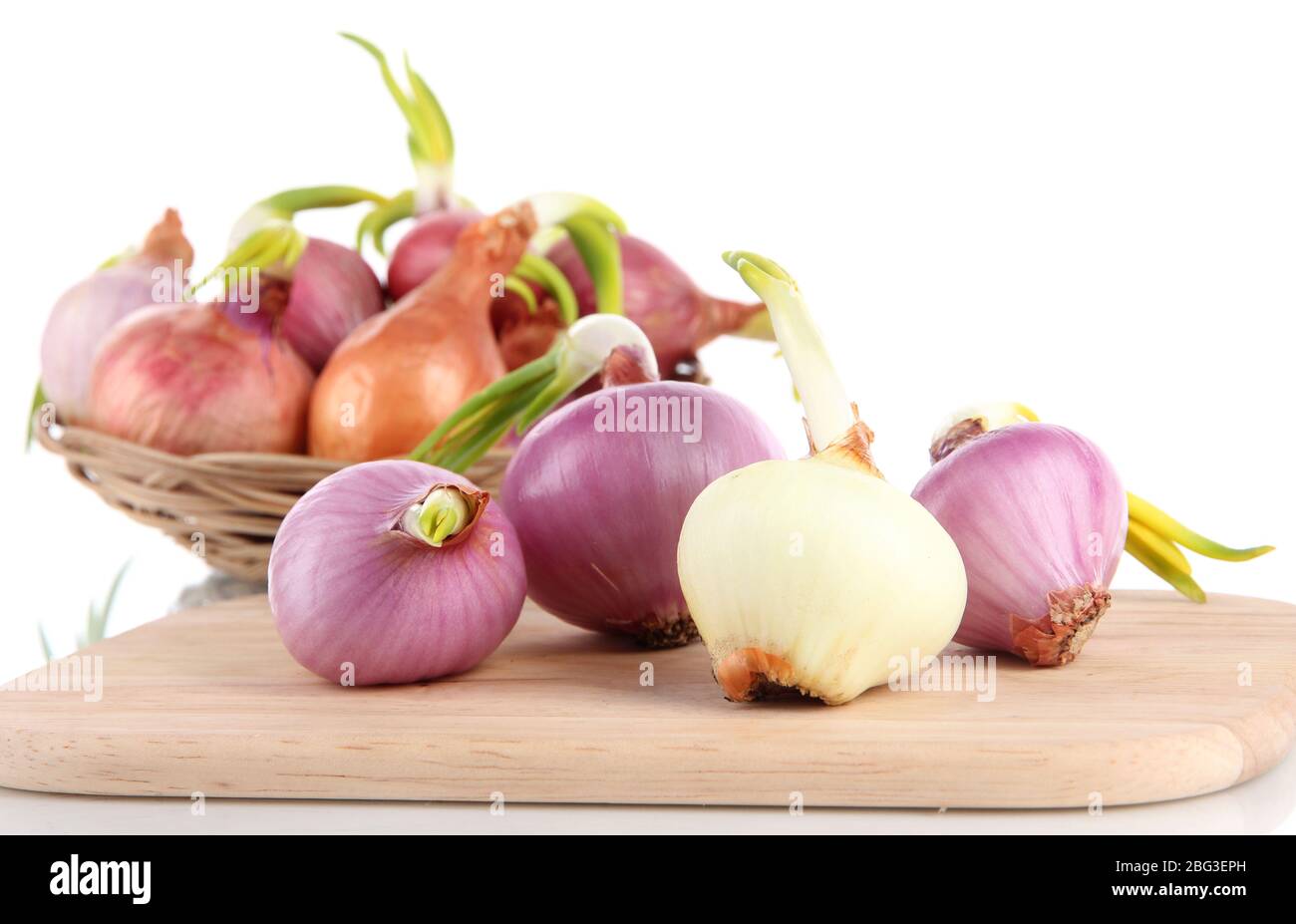 Sprouting onions on board isolated on white Stock Photo - Alamy