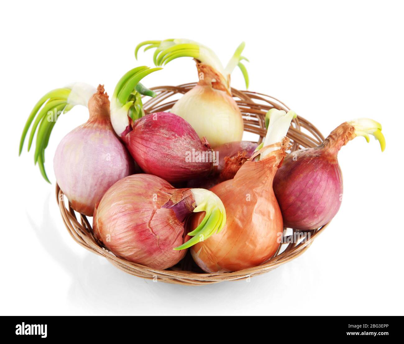 Sprouting onions in basket isolated on white Stock Photo - Alamy