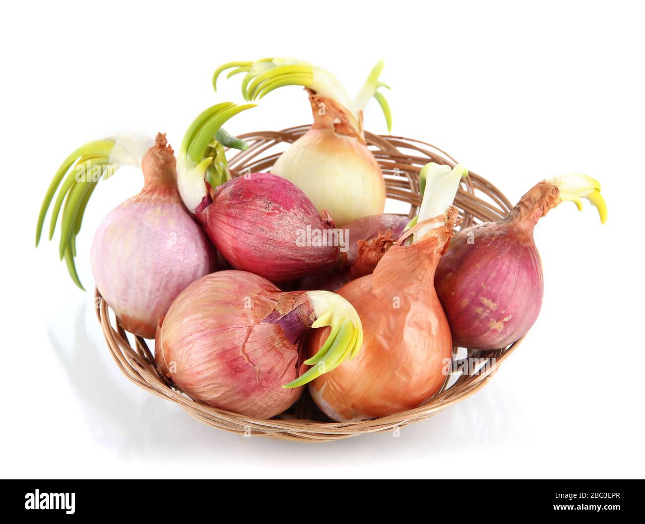 Sprouting onions in basket isolated on white Stock Photo - Alamy