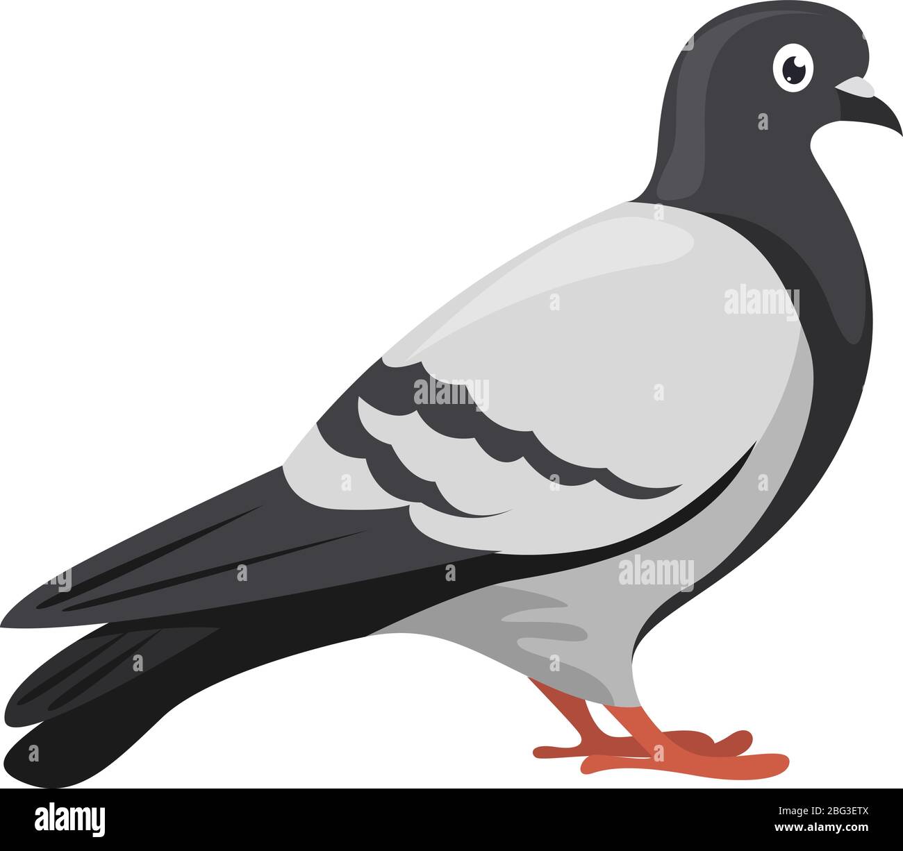 Pigeon, illustration, vector on white background Stock Vector Image ...