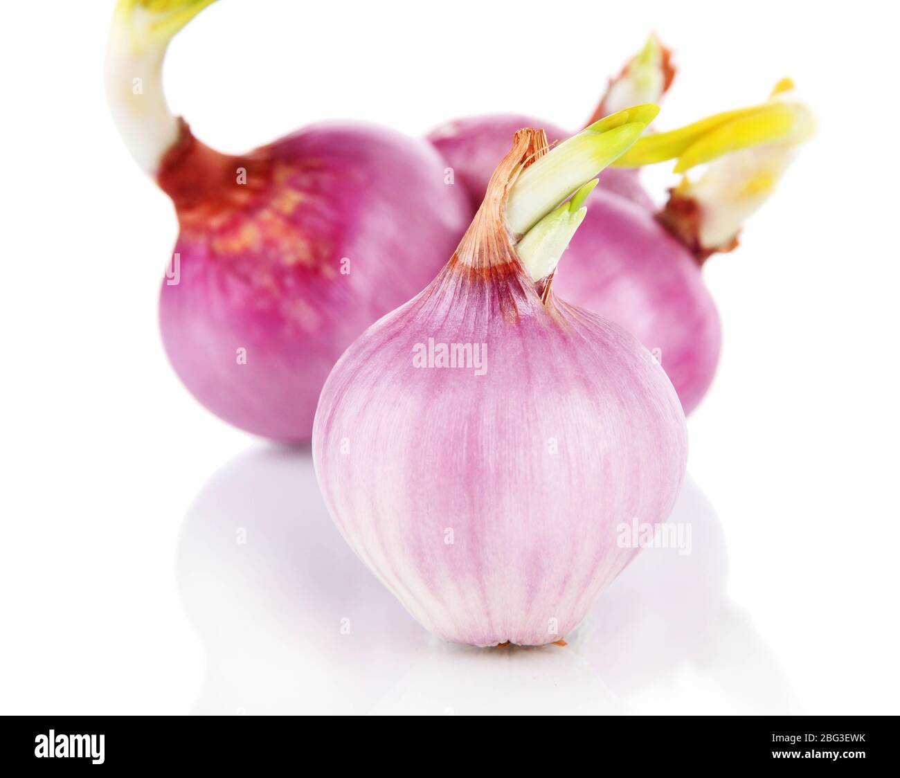 Onion sprouting on old hi-res stock photography and images - Alamy
