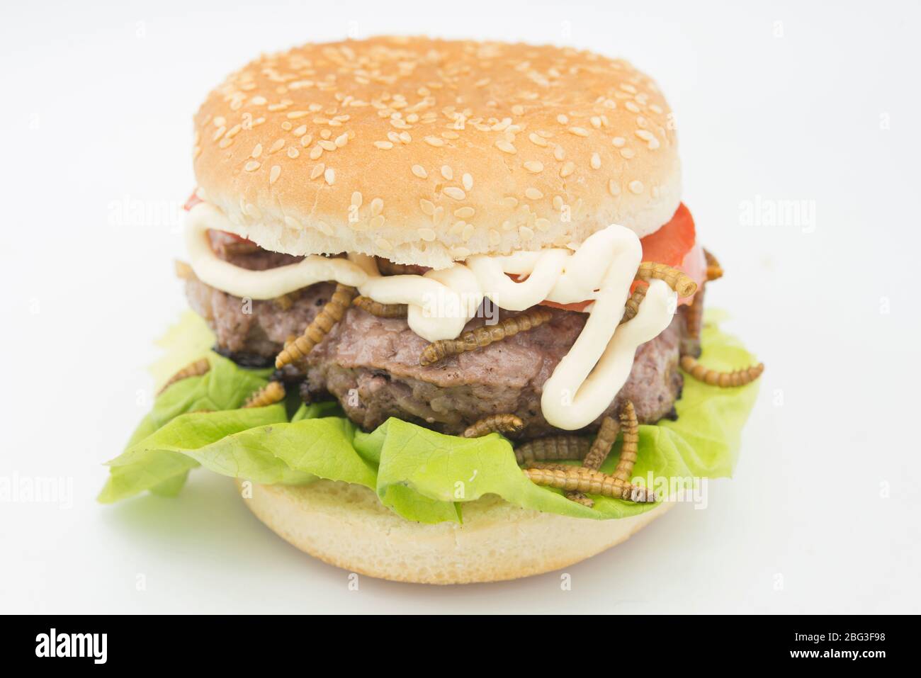 Burger of endible worms with tomato and lettuce Stock Photo - Alamy