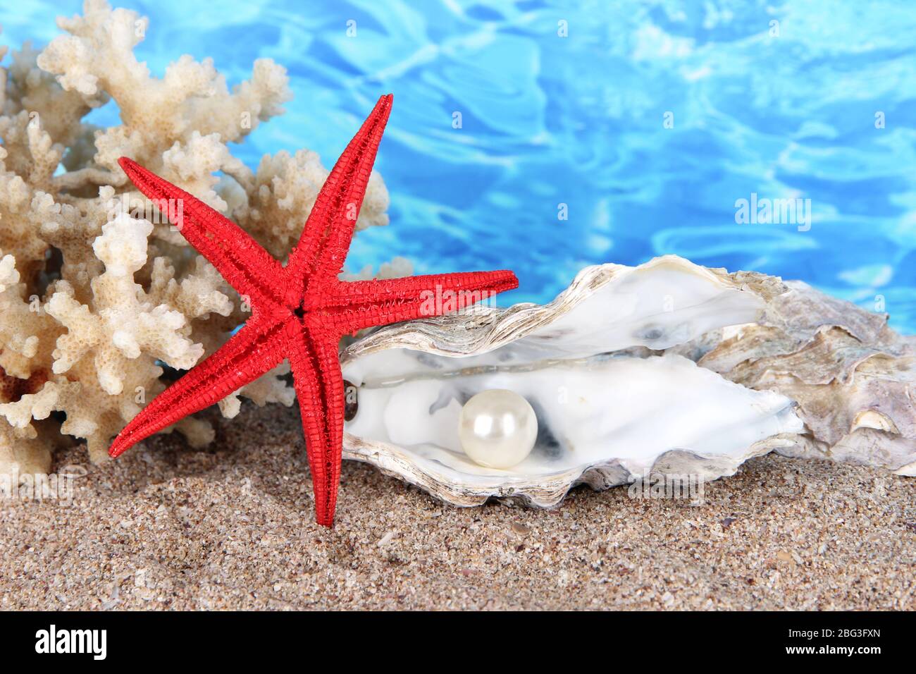 Underwater Clam With Pearl