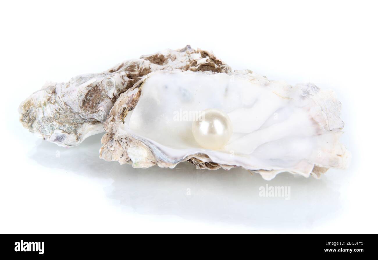 Open oyster with pearl isolated on white Stock Photo - Alamy
