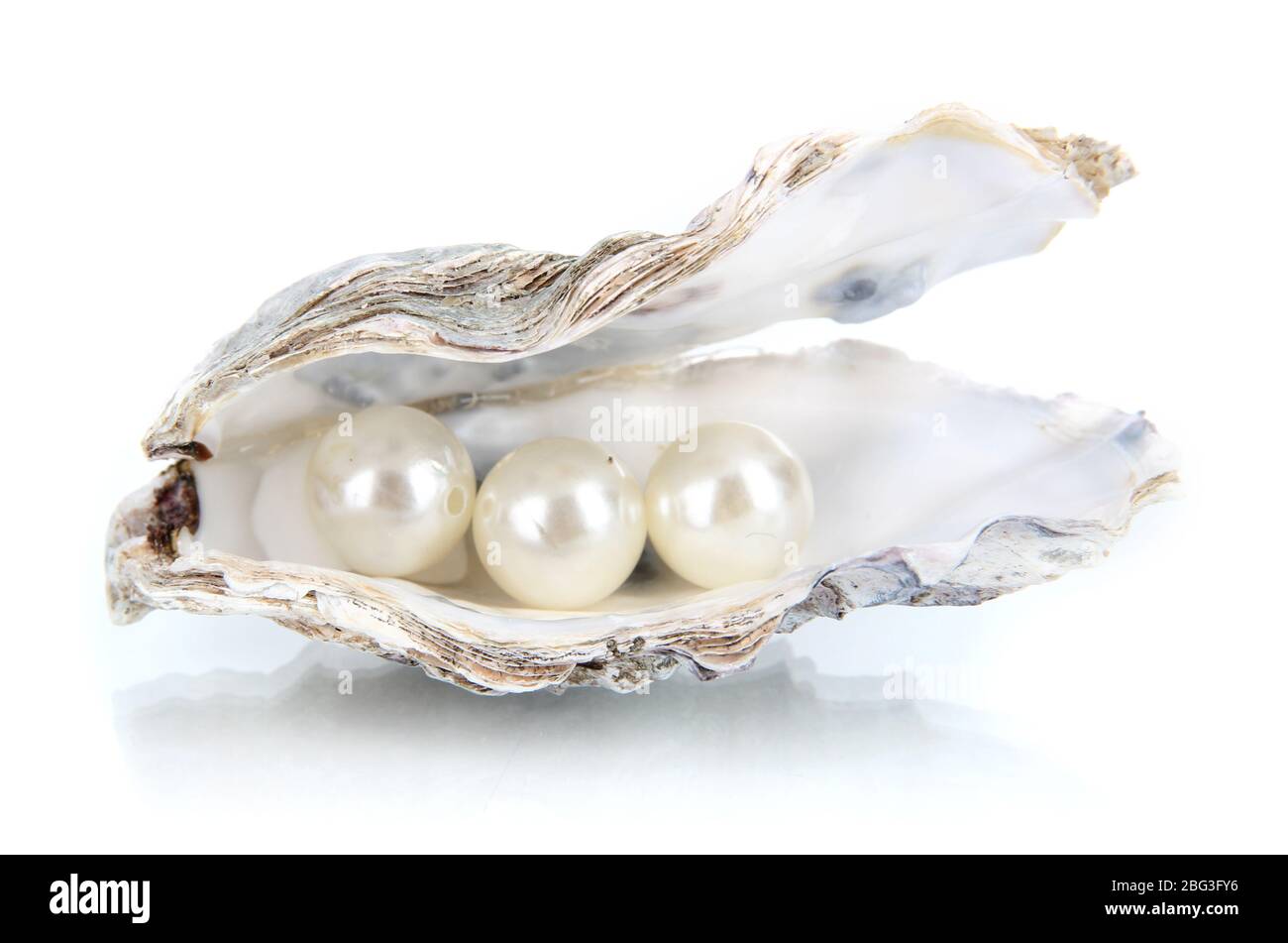 Open oyster with pearls isolated on white Stock Photo - Alamy