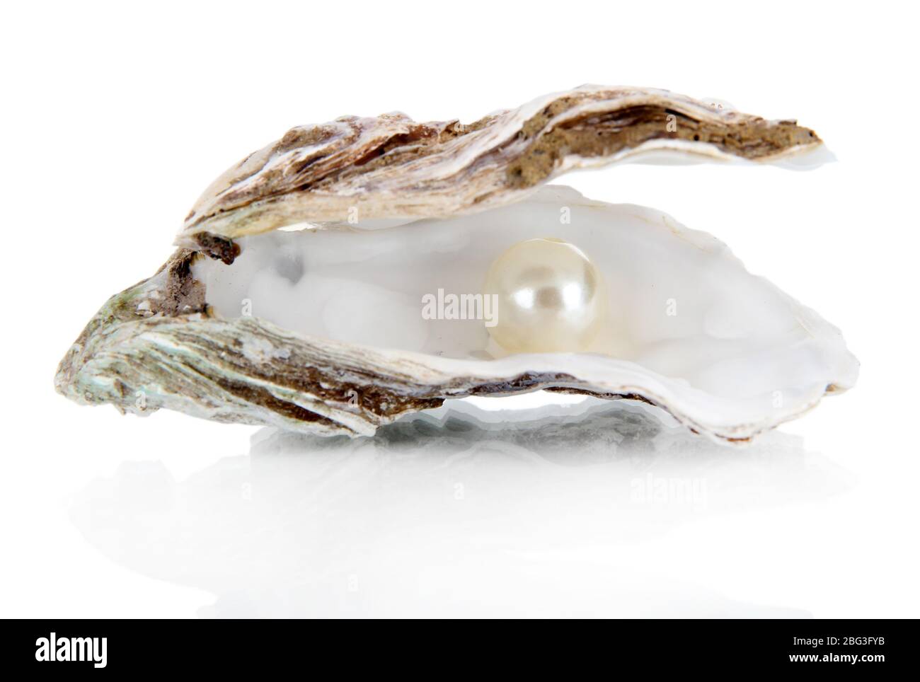Open oyster with pearl isolated on white Stock Photo - Alamy
