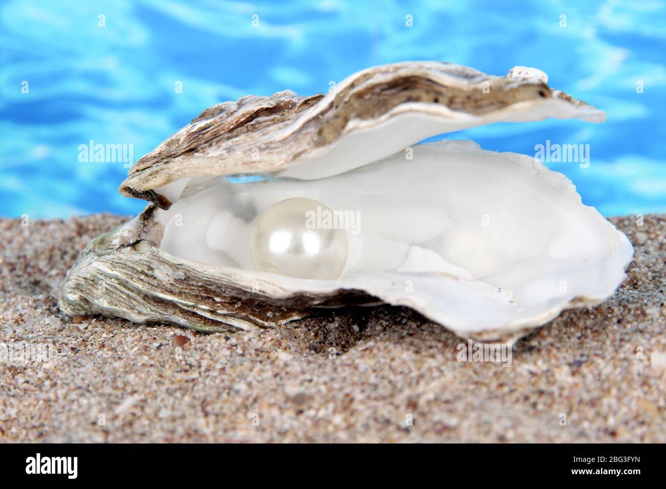 Open oyster with pearl on sand on water background Stock Photo - Alamy