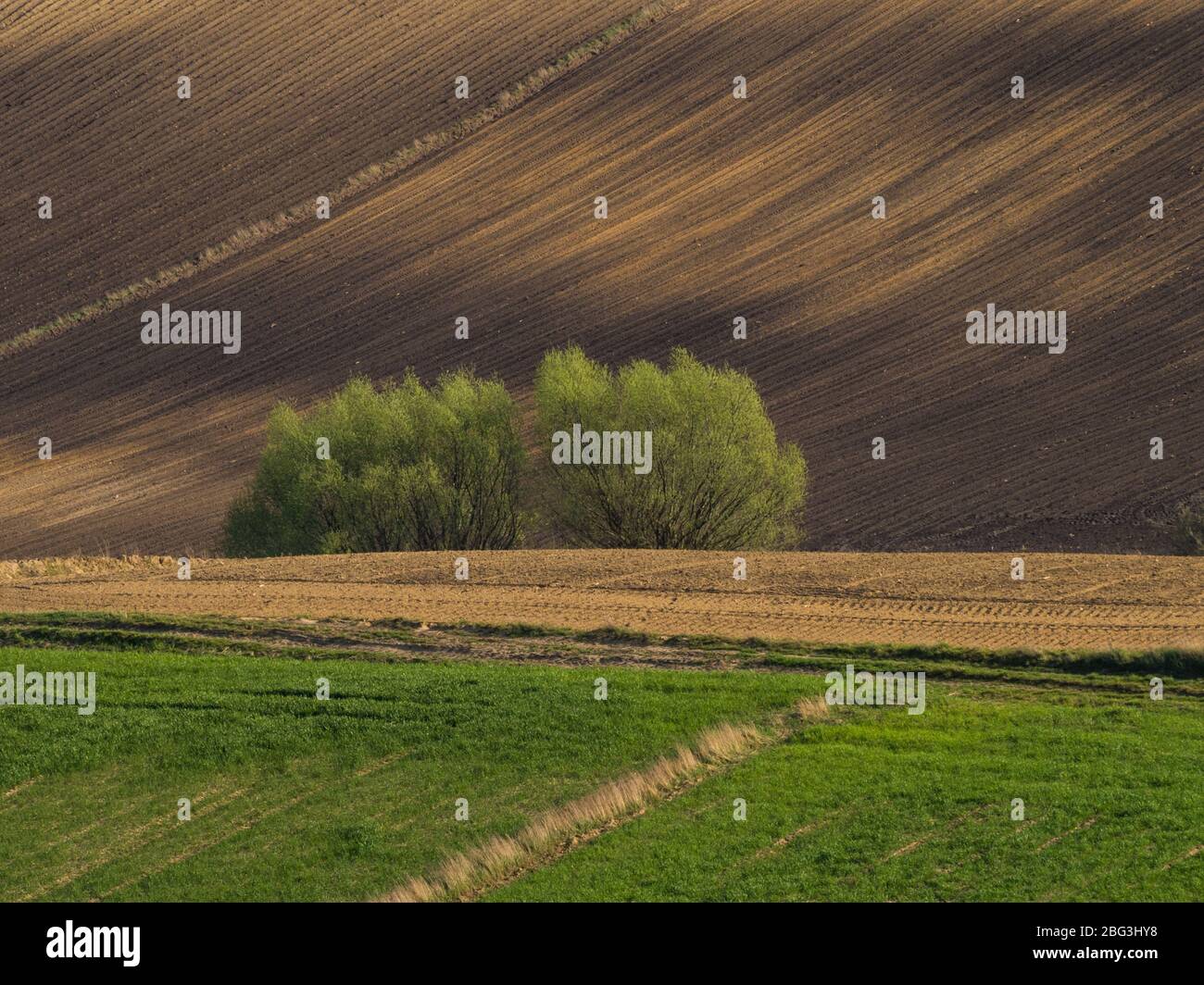 Poland countryside hills hi-res stock photography and images - Alamy