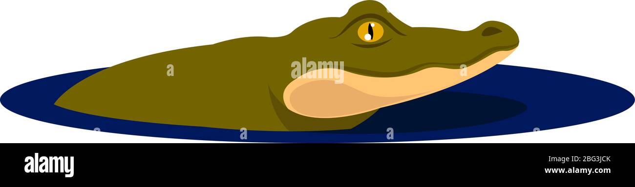 Crocodile in water, illustration, vector on white background Stock ...
