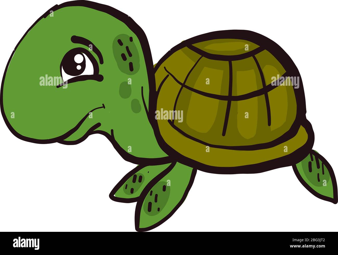 Sad turtle, illustration, vector on white background Stock Vector Image ...