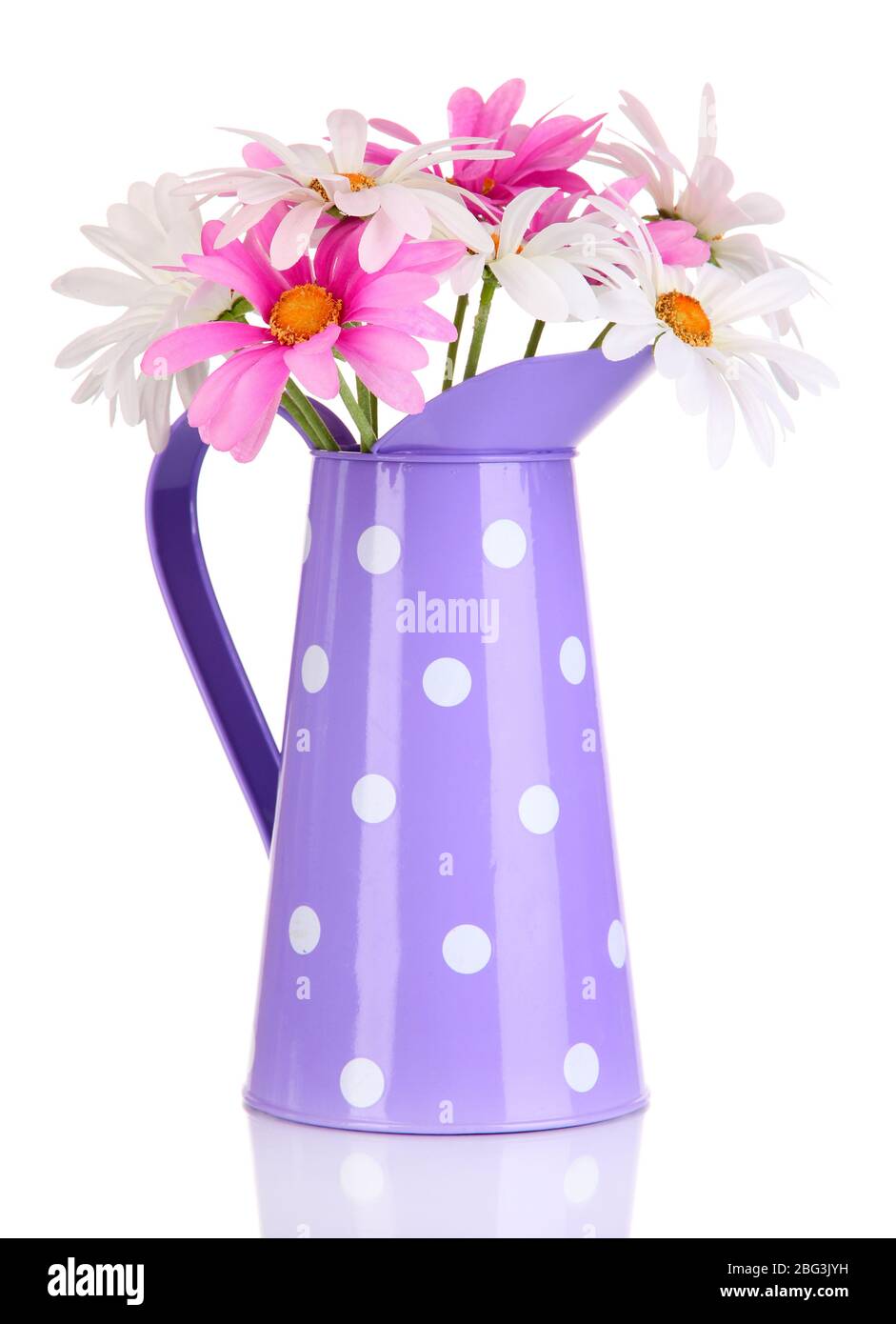 Beautiful daisies in colorful pitcher isolated on white Stock Photo - Alamy