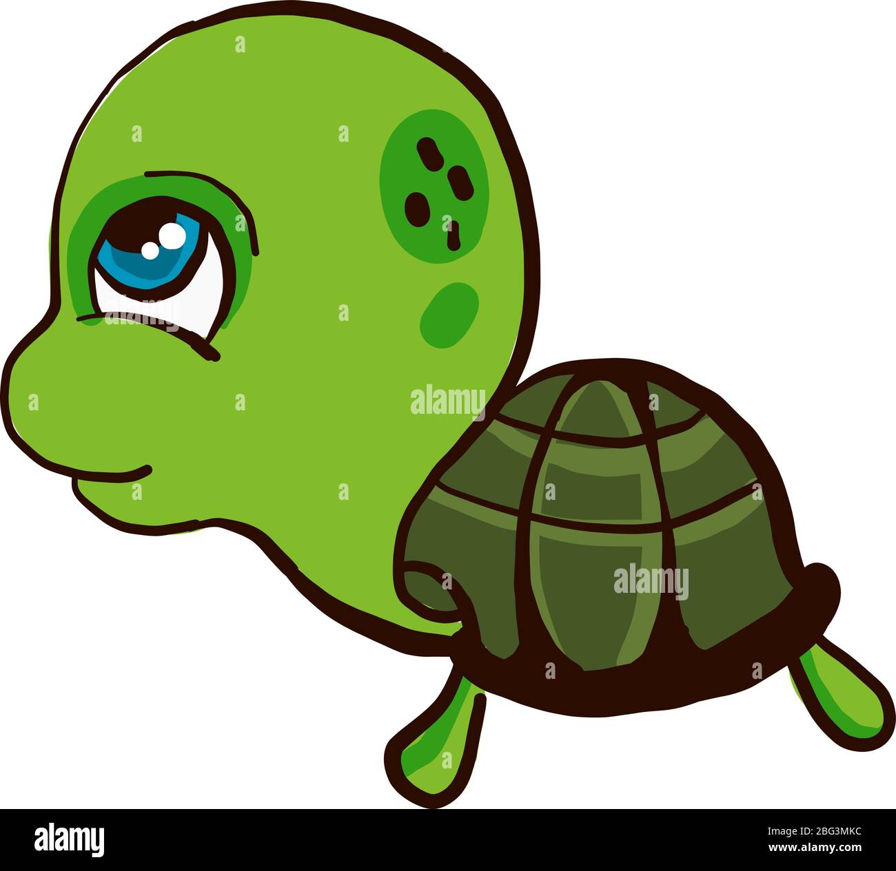 Old turtle vector hi-res stock photography and images - Alamy