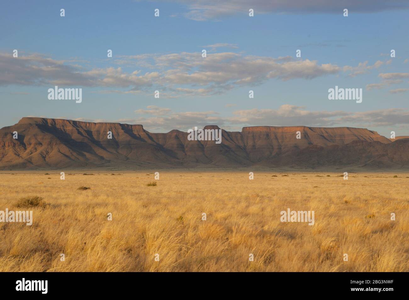 Desert landscape, Namib Desert, Namibia Stock Photo - Alamy