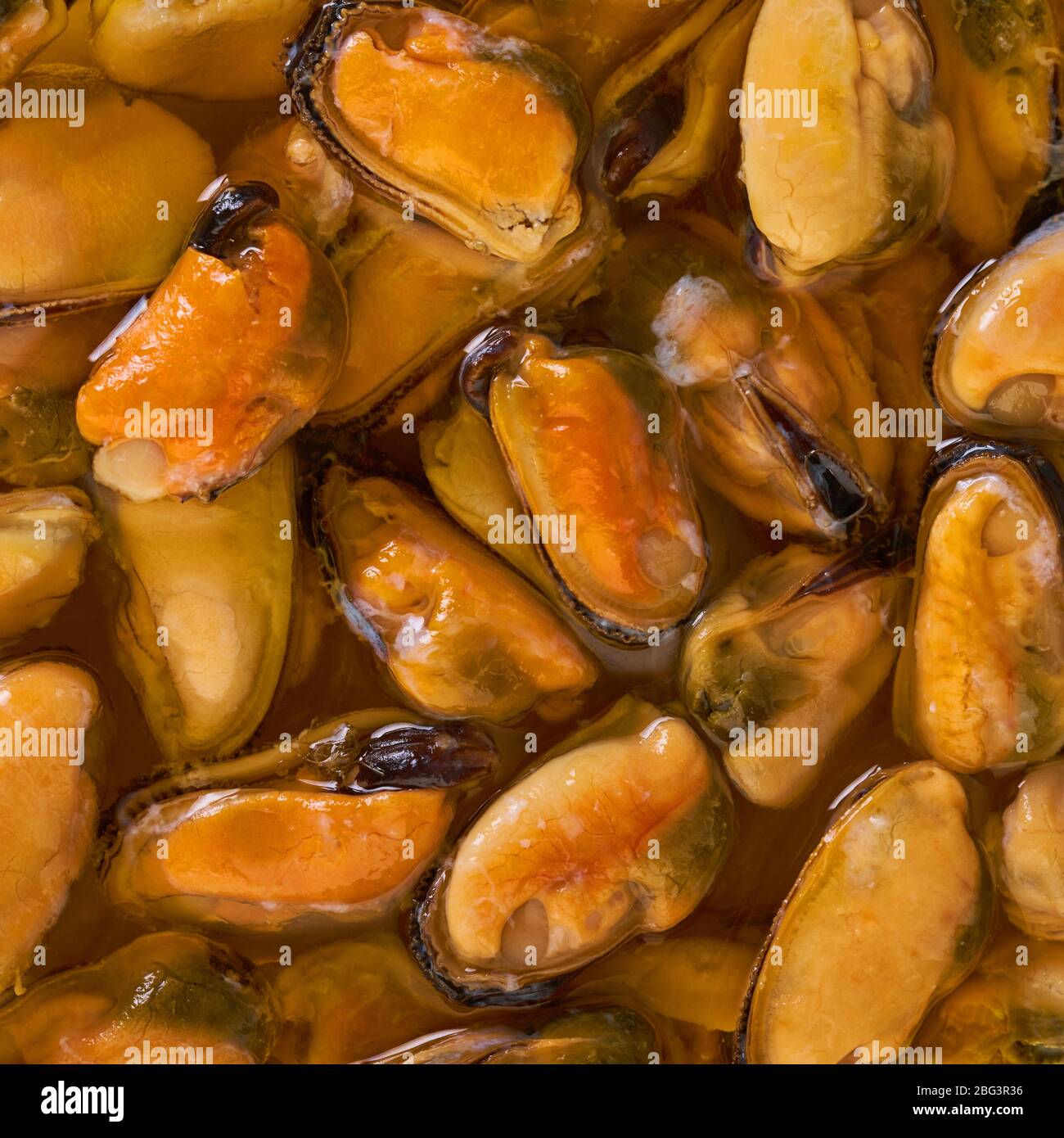 food background from peeled mussel texture closeup Stock Photo - Alamy