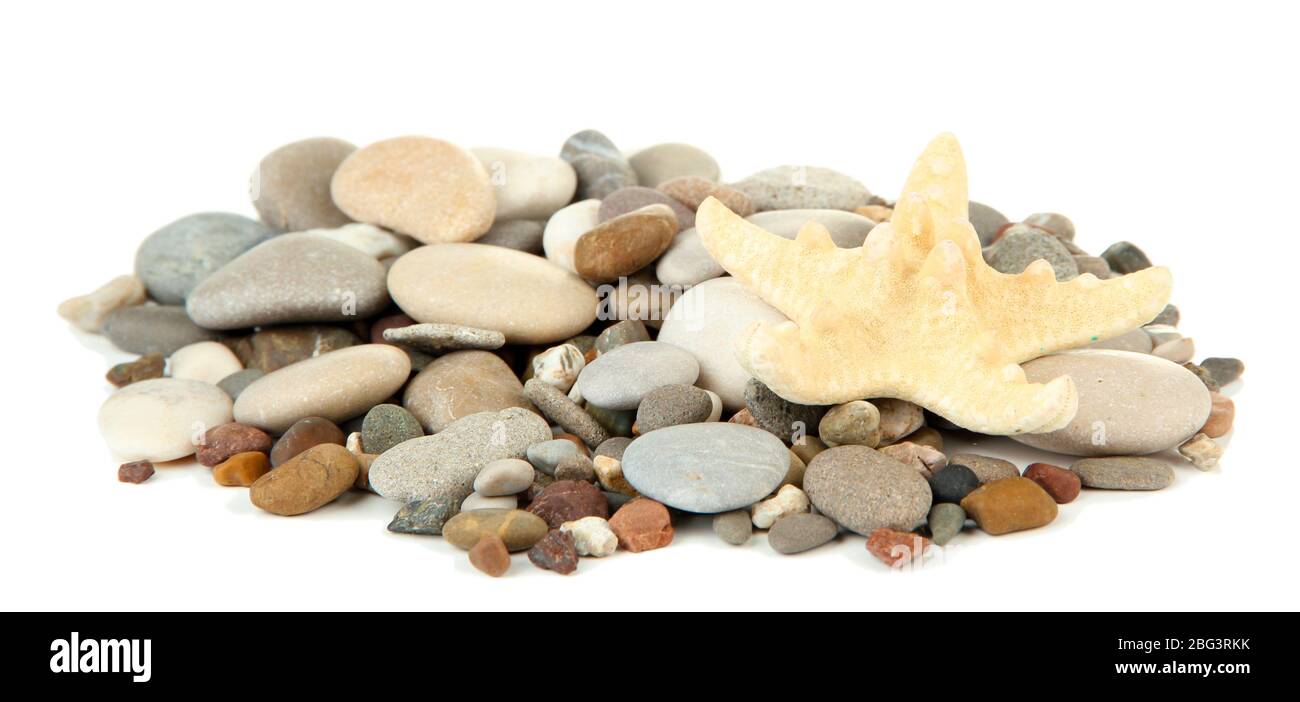 Fish and stones Cut Out Stock Images & Pictures - Alamy