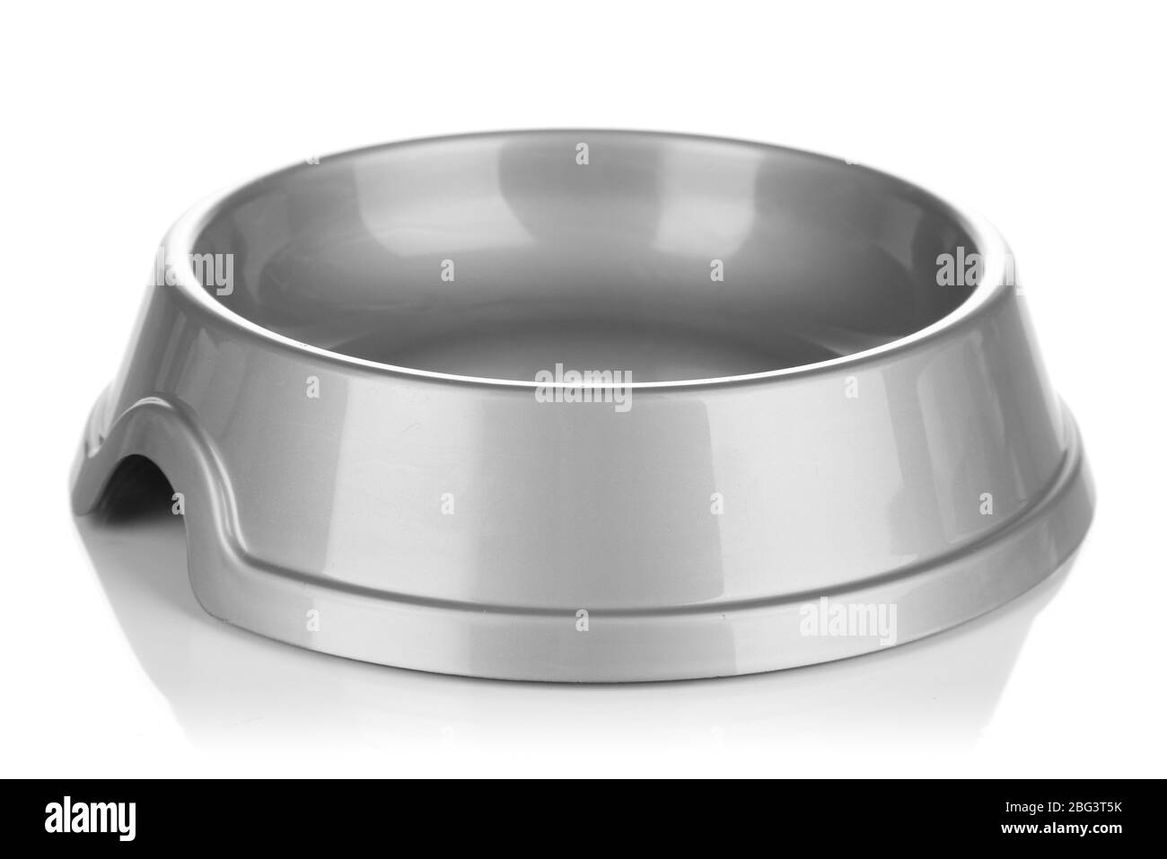 Dog bowl Black and White Stock Photos & Images - Alamy