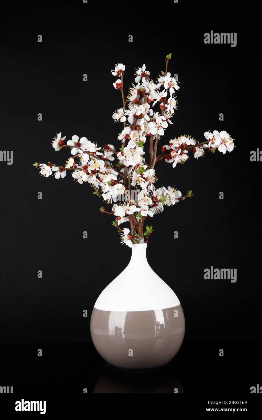 Beautiful blooming branches in vase isolated on black Stock Photo - Alamy