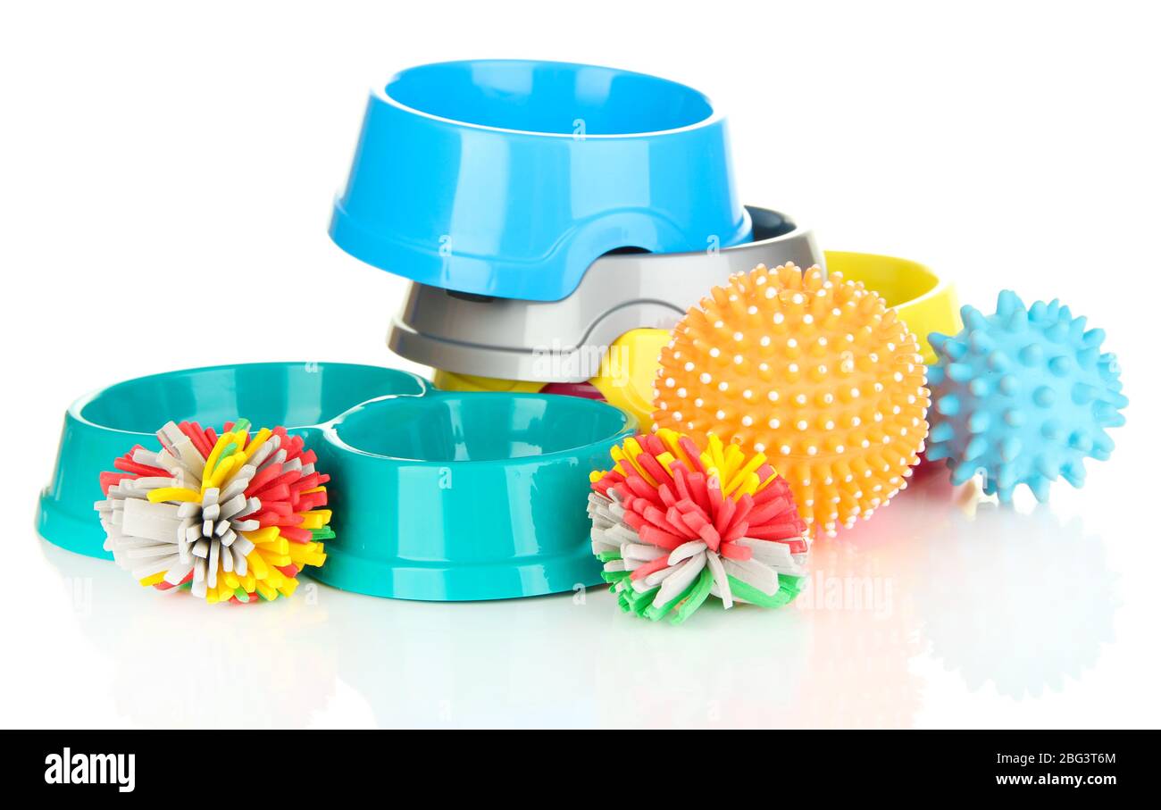 Pet accessories isolated on white Stock Photo - Alamy