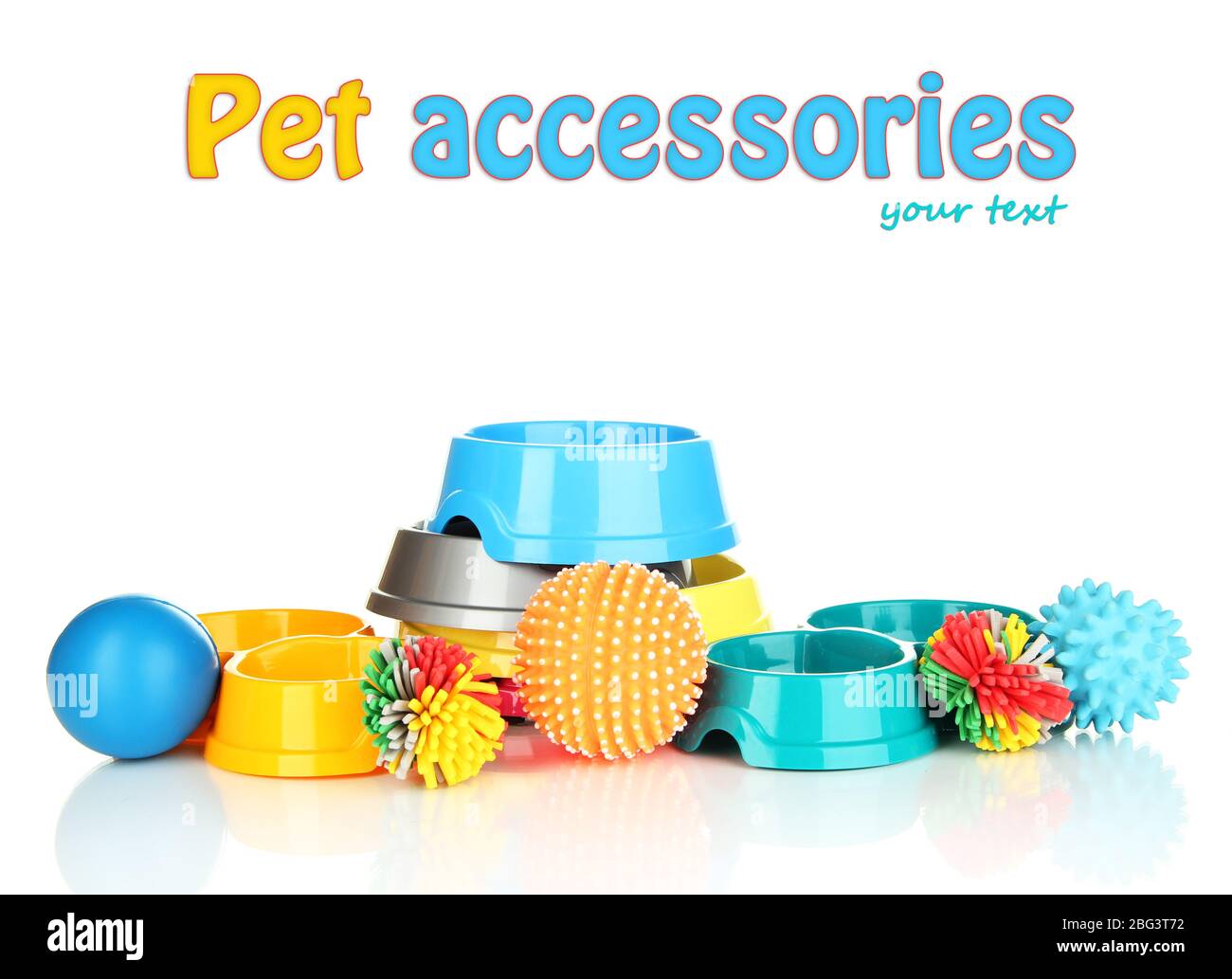 Pet accessories isolated on white Stock Photo - Alamy