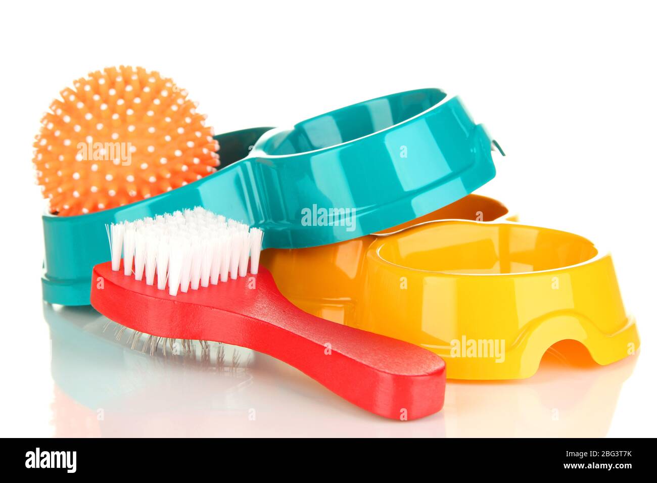 Pet accessories isolated on white Stock Photo - Alamy