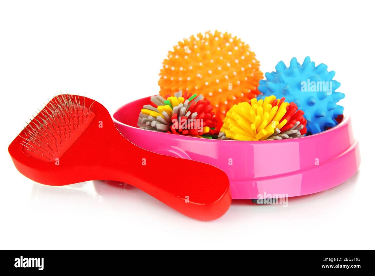 Pet accessories isolated on white Stock Photo - Alamy