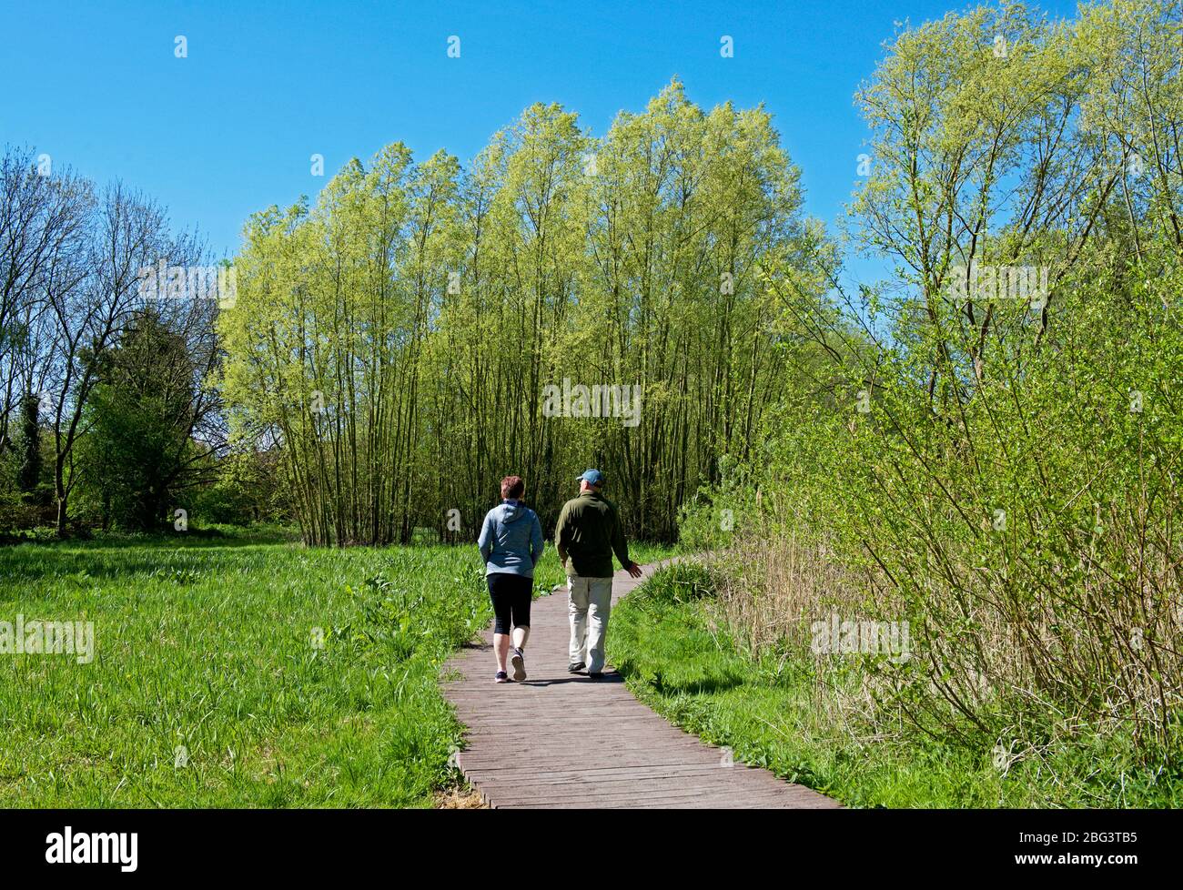 Howden Marsh, a local nature reserve in Howden, East Yorkshire, England ...