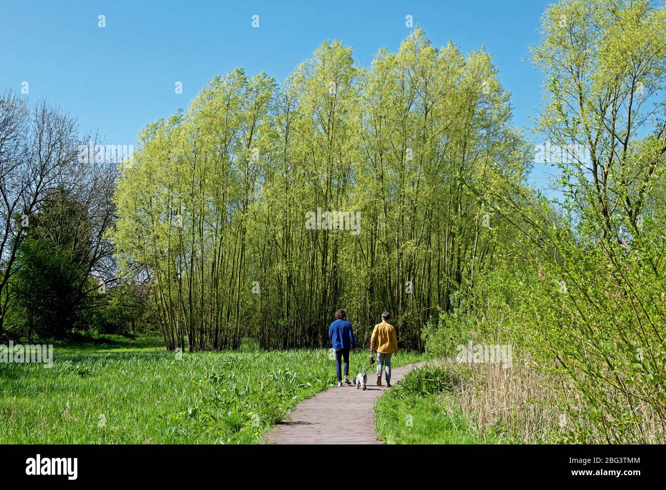 Two men and dog, Howden Marsh, a local nature reserve in Howden, East ...
