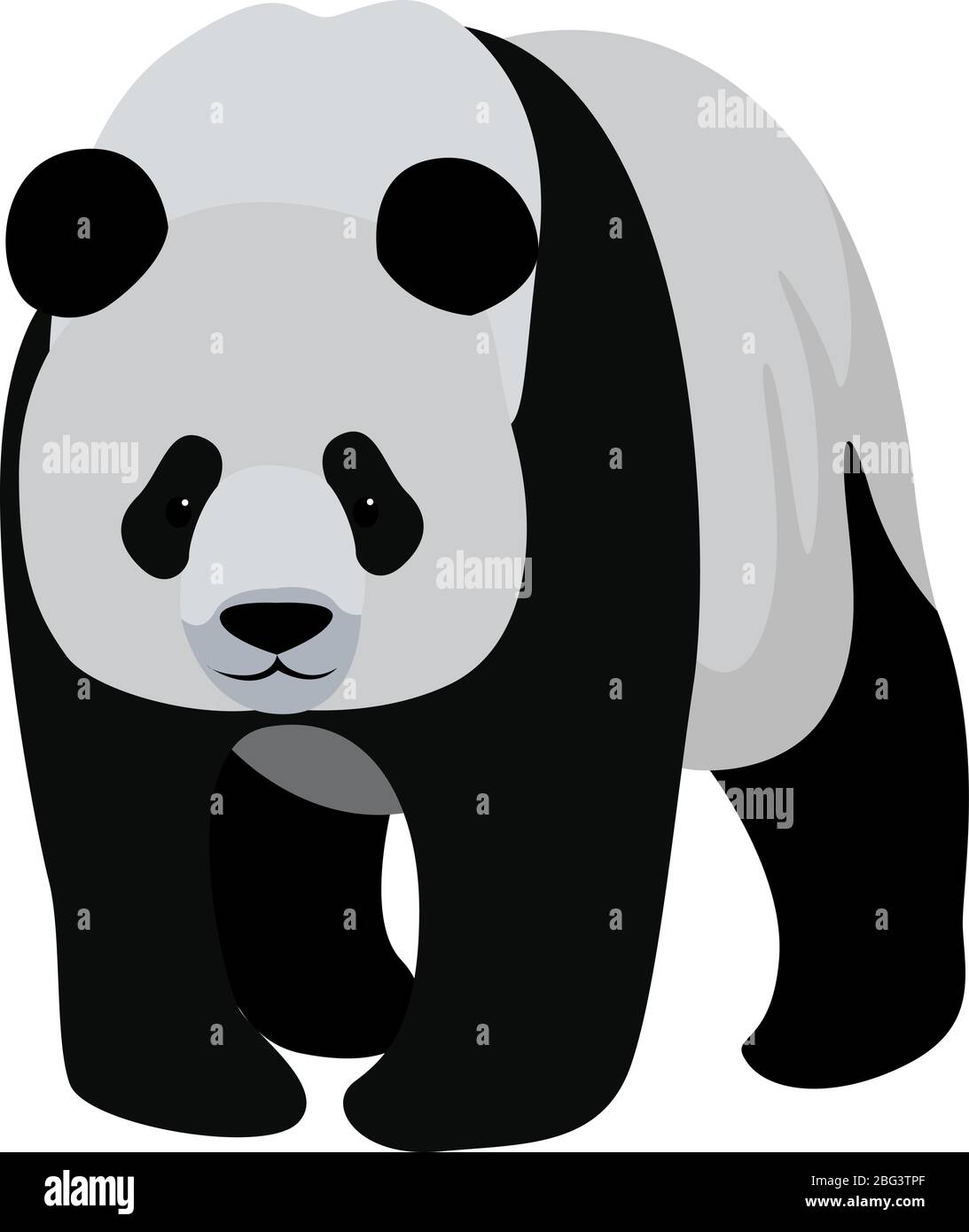 Big panda, illustration, vector on white background Stock Vector Image ...