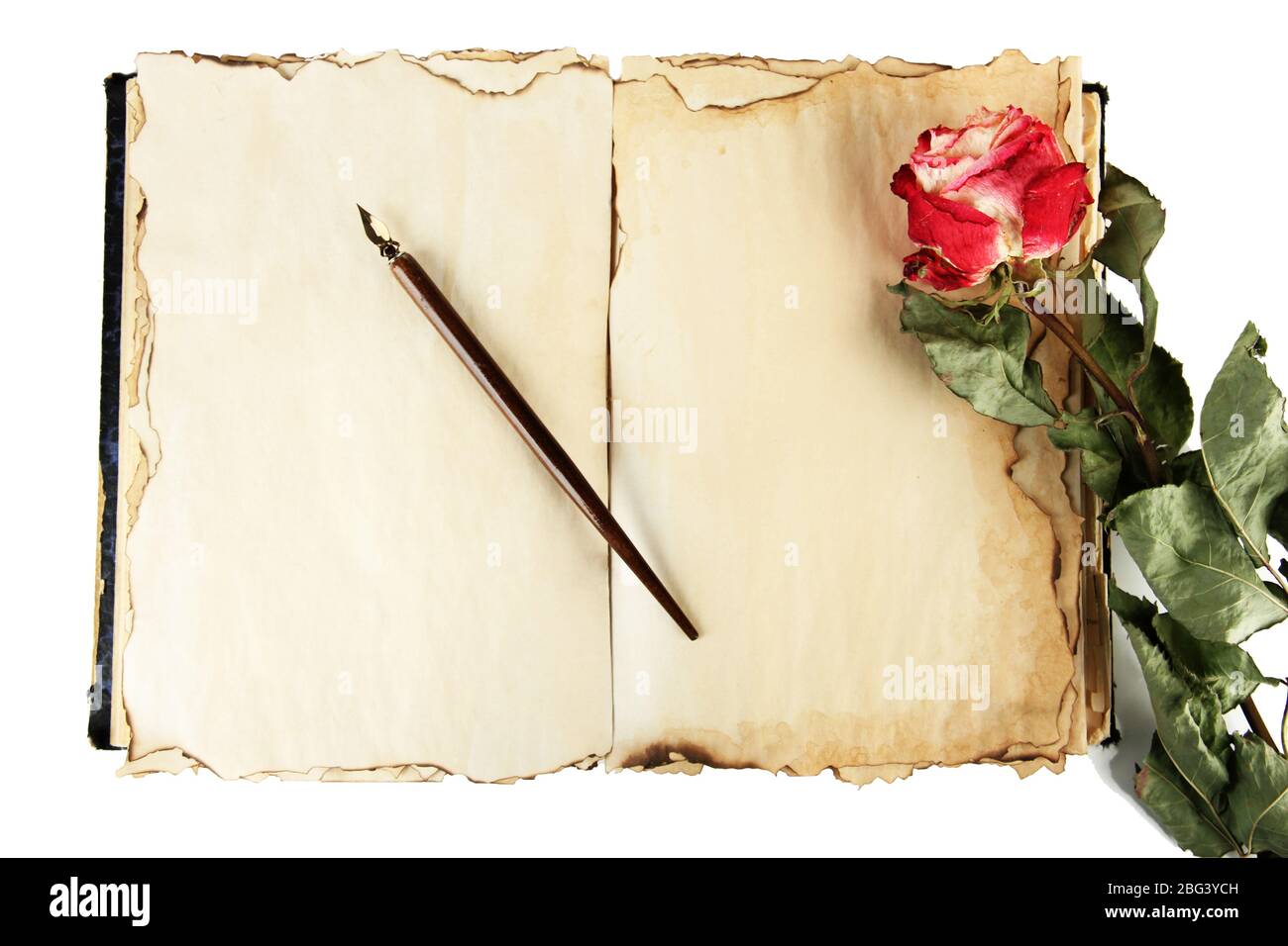 Open old book, rose and ink pen isolated on white Stock Photo - Alamy