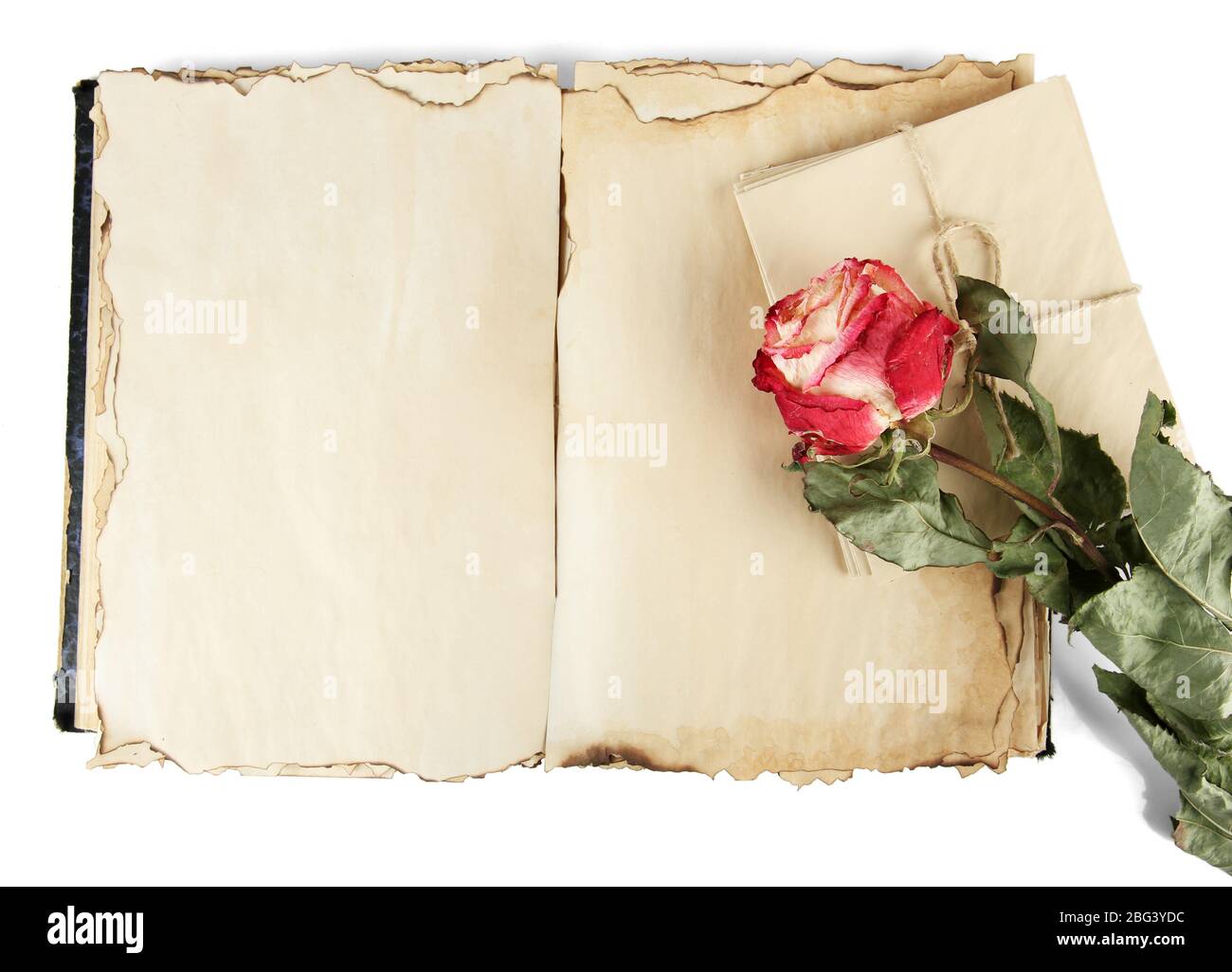 Open old book, letters and rose isolated on white Stock Photo - Alamy