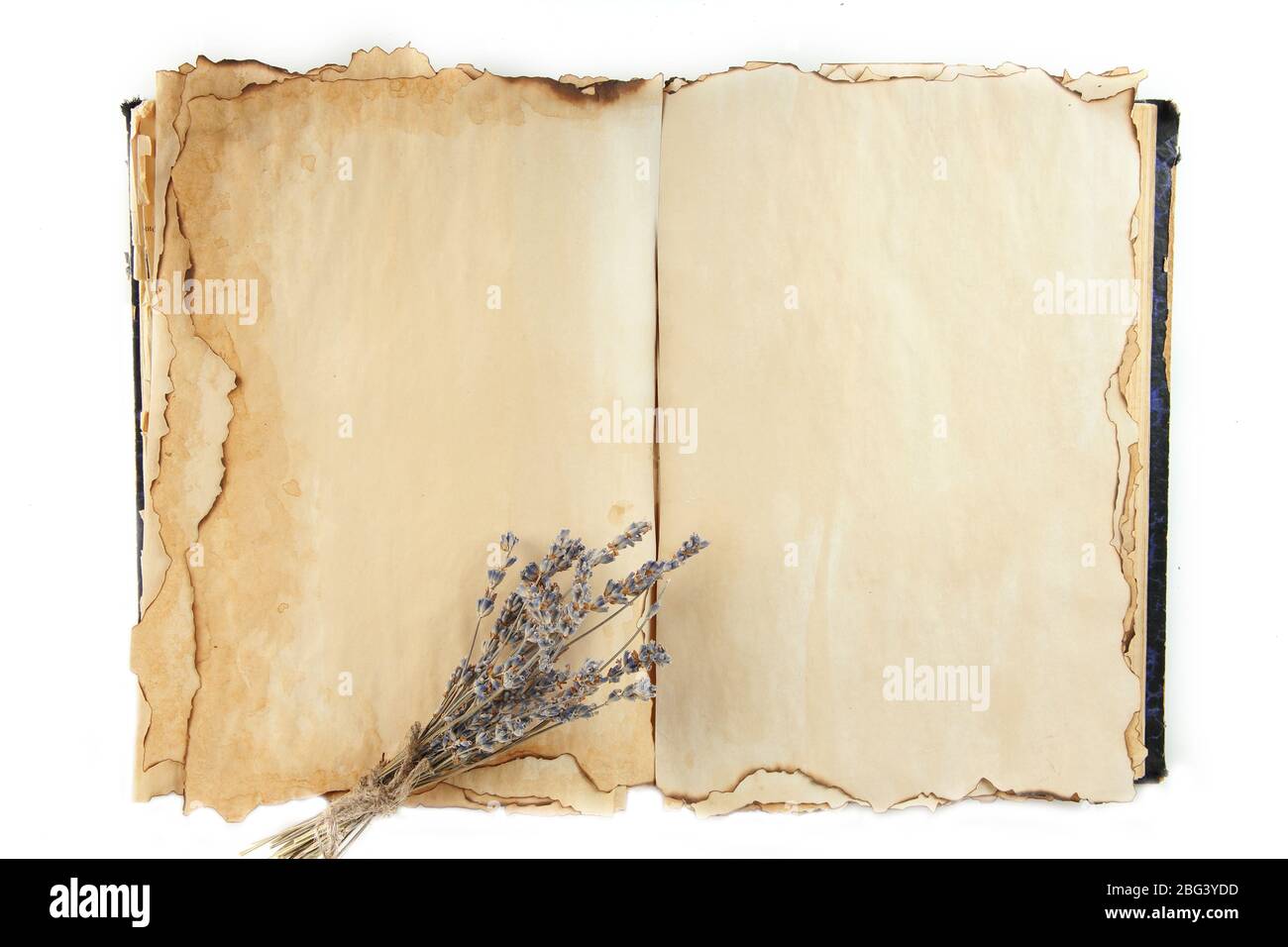 Open old book and lavander isolated on white Stock Photo - Alamy
