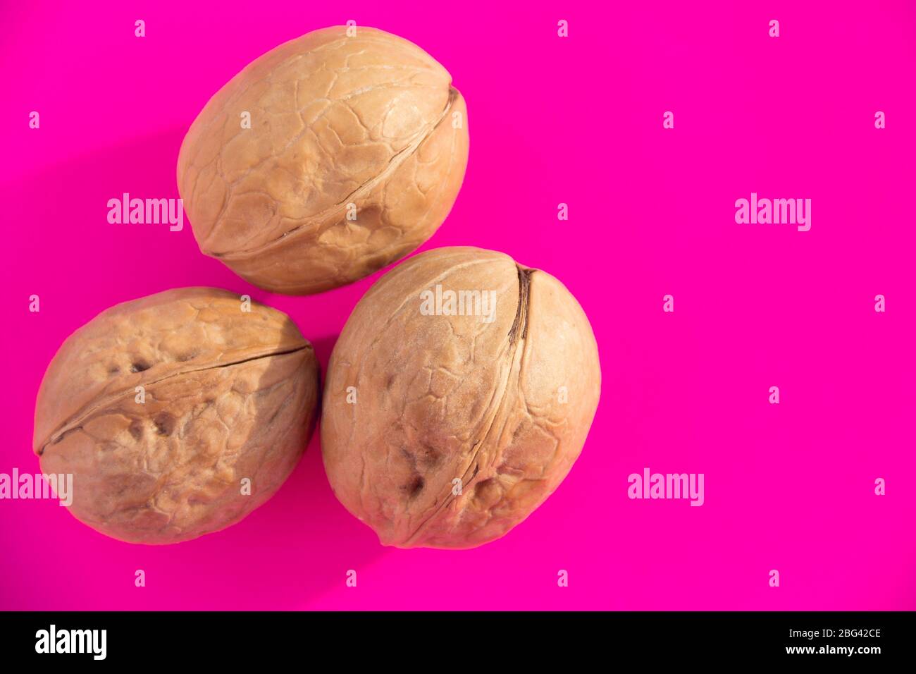 Three walnuts isolated on a colored background Stock Photo - Alamy