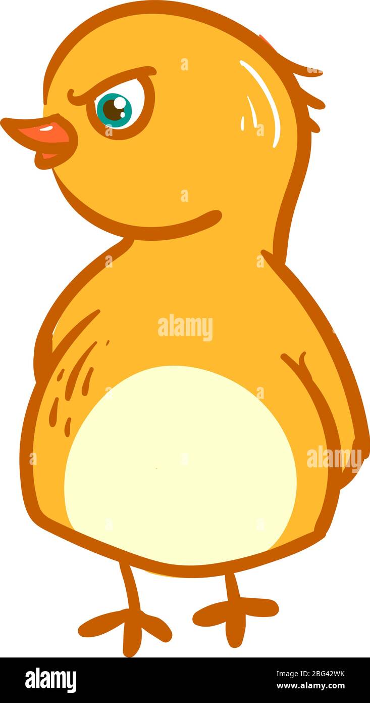 Angry little chick, illustration, vector on white background Stock ...