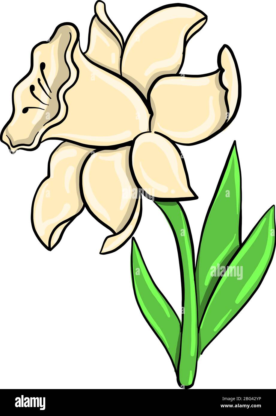 White flower, illustration, vector on white background Stock Vector ...