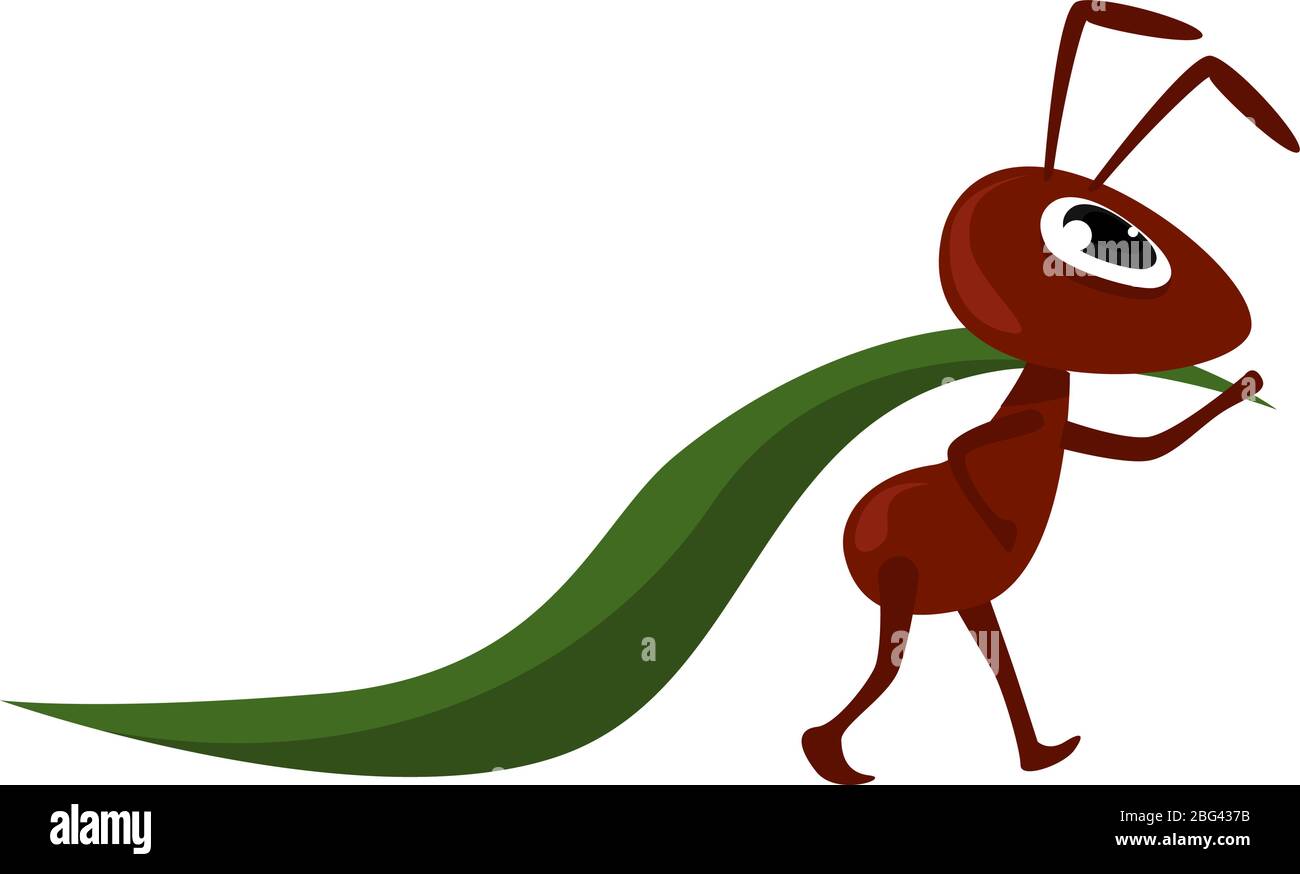 Ant with green leaf, illustration, vector on white background Stock ...